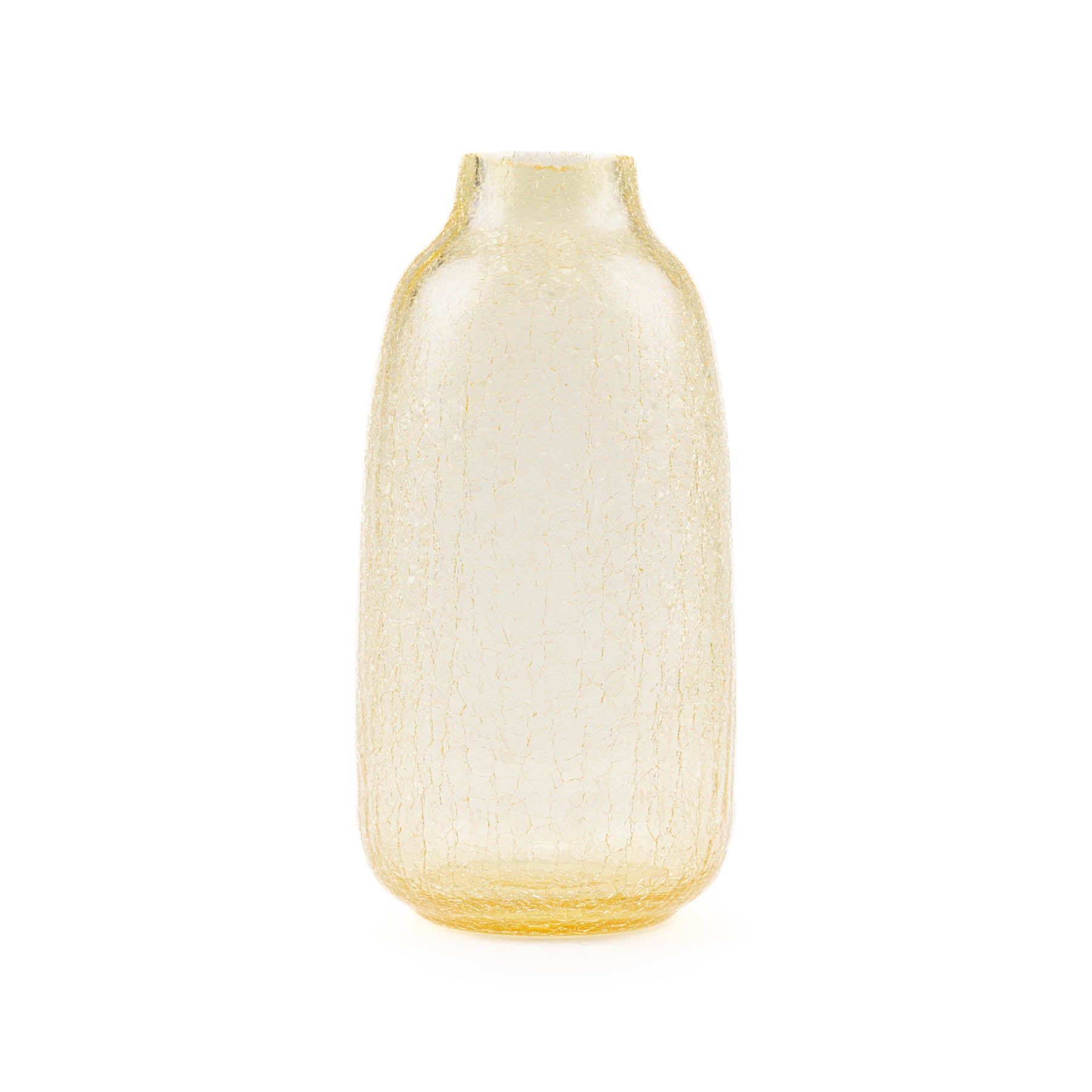 Frosty Vase by Anna von Lipa – Hand-Blown Glass Art | Trove